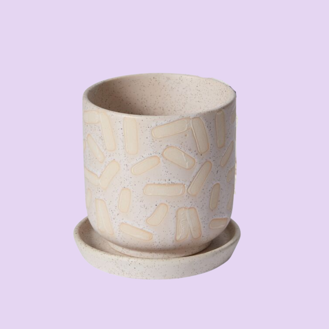 White Sundae Pot – VI Plant Shop