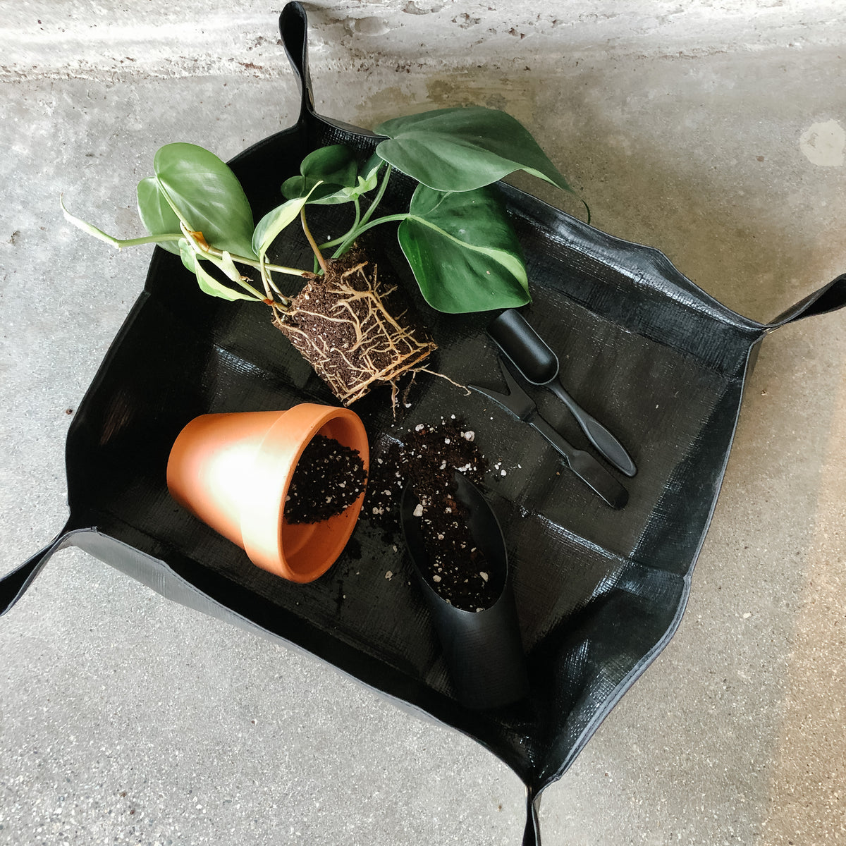 Repotting Tarp – VI Plant Shop